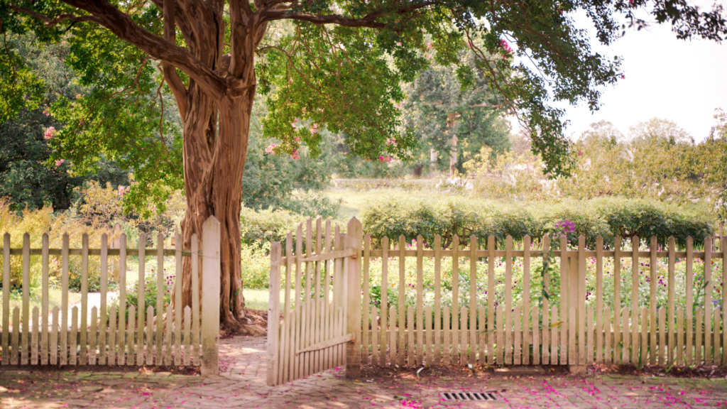 Trees and Fences: Rules between neighbours | Pamphlet | Éducaloi