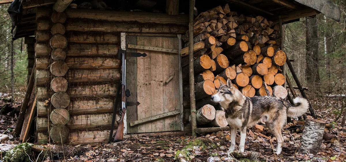 Camps de chasse : occuper le territoire public en toute légalité ...