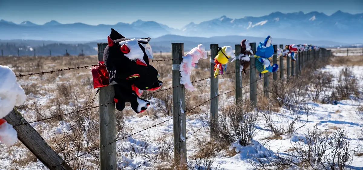 Understanding Elections in Quebec: Federal, Provincial, Municipal and ...